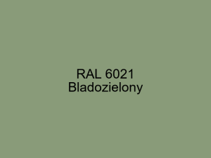 RAL 6021 - Bladozielony / Pale green (RAL Classic) | Paleta Kolorow RAL