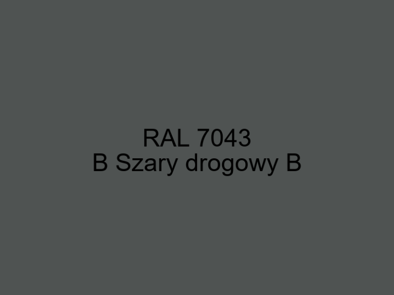 RAL 7043 - B Szary drogowy B / Traffic grey B (RAL Classic) | Paleta ...