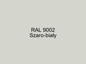 RAL 9002 - Szaro-biały / Grey white (RAL Classic) | Paleta Kolorow RAL
